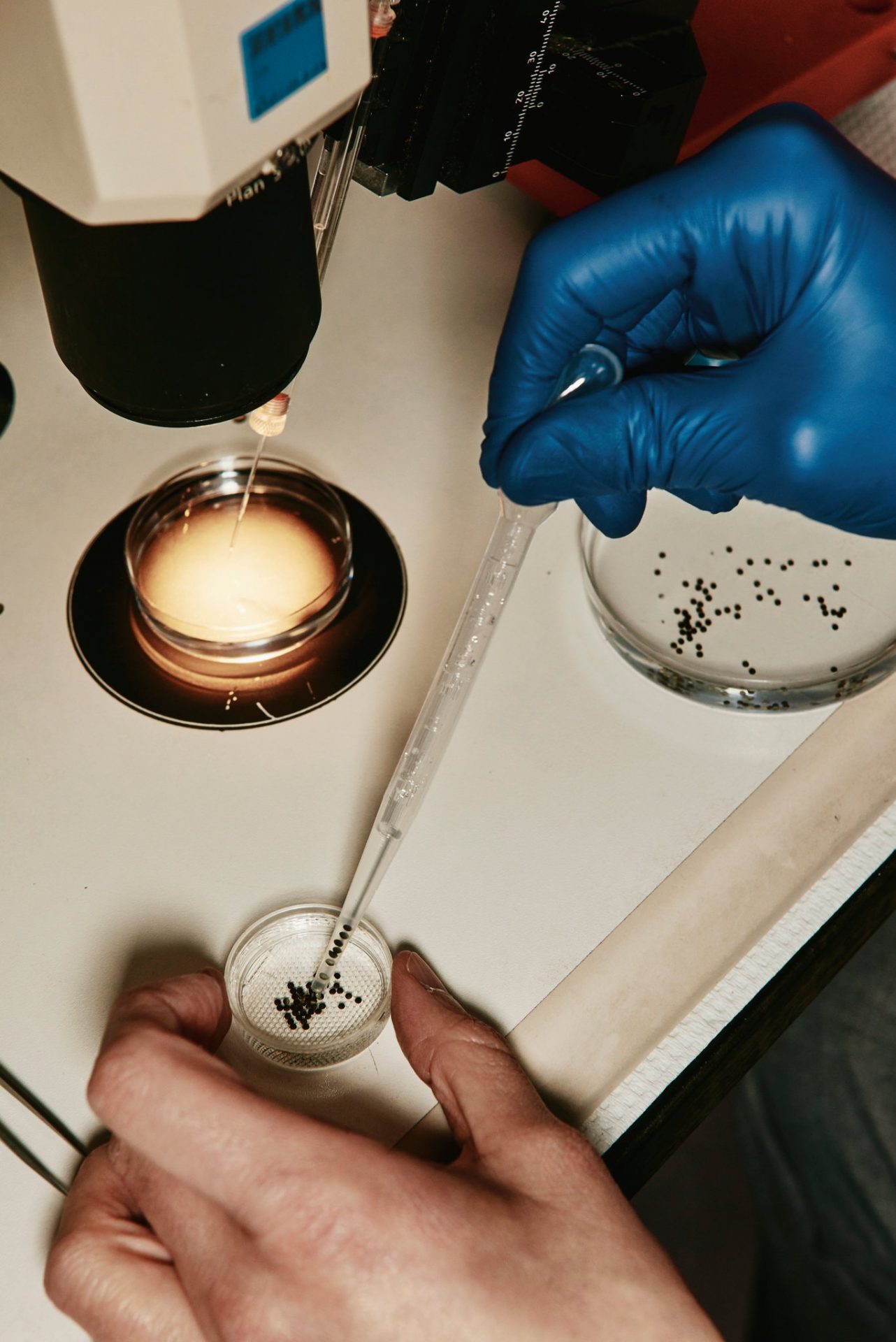 XenoBots (living robots) – Medical revolution or Ethical mindfield ...